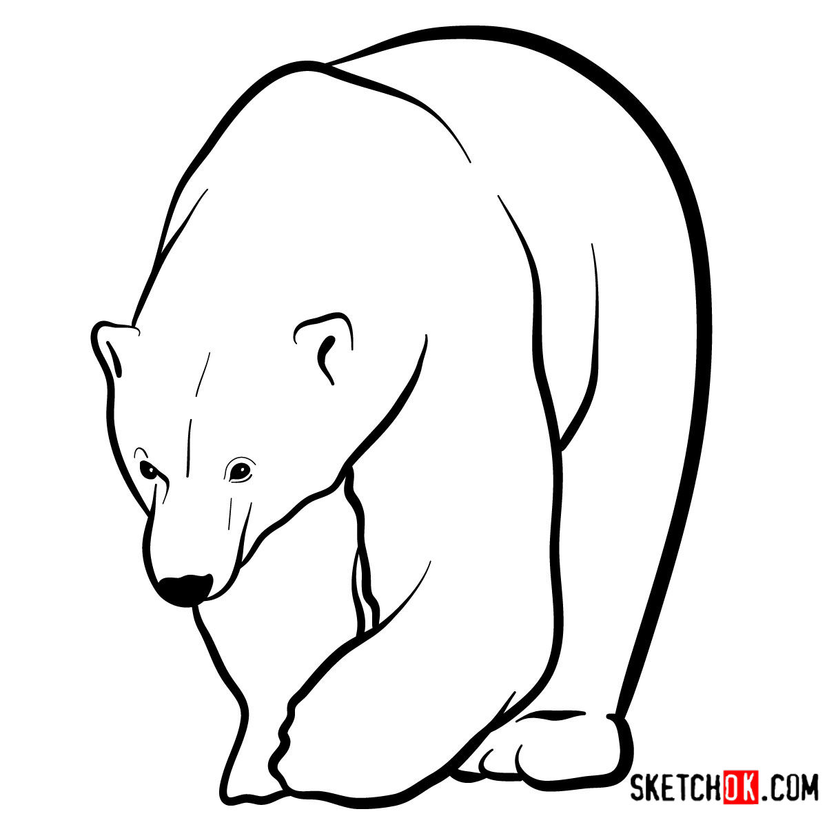 Wild Animals Drawing Free Download On ClipArtMag