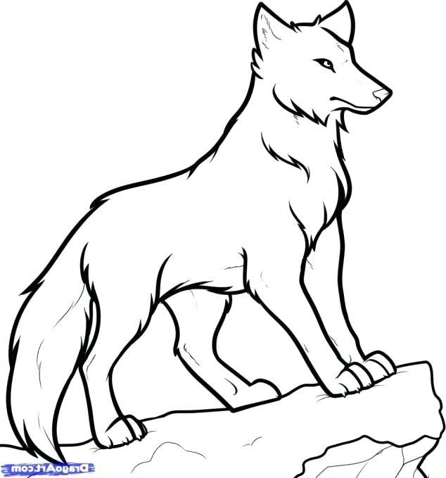Wolf Drawings In Pencil Free Download On ClipArtMag Wolf Drawings In Pencil Free Download On ClipArtMag