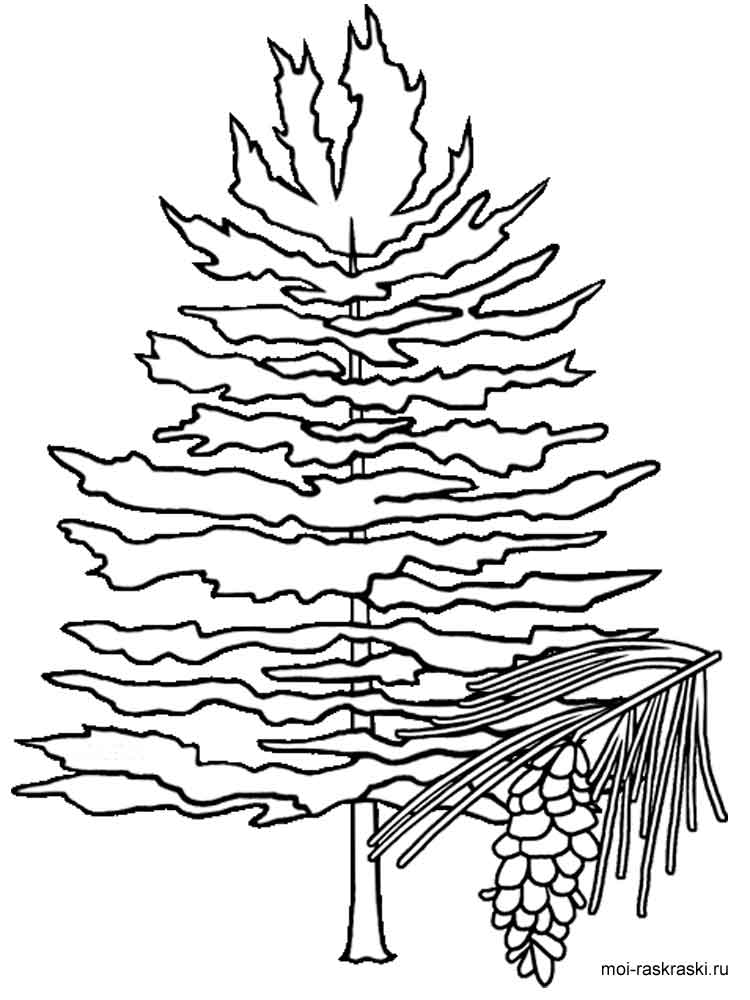 Pine Tree Black And White Free Download On ClipArtMag Pine Tree Black And White Free Download On ClipArtMag