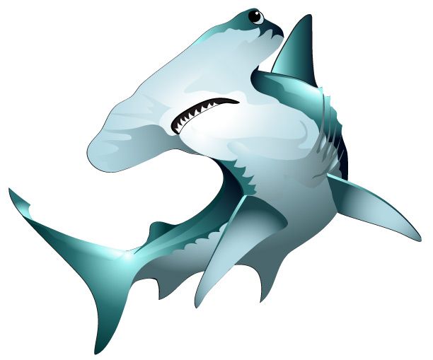 Sharks Clipart | Free download on ClipArtMag