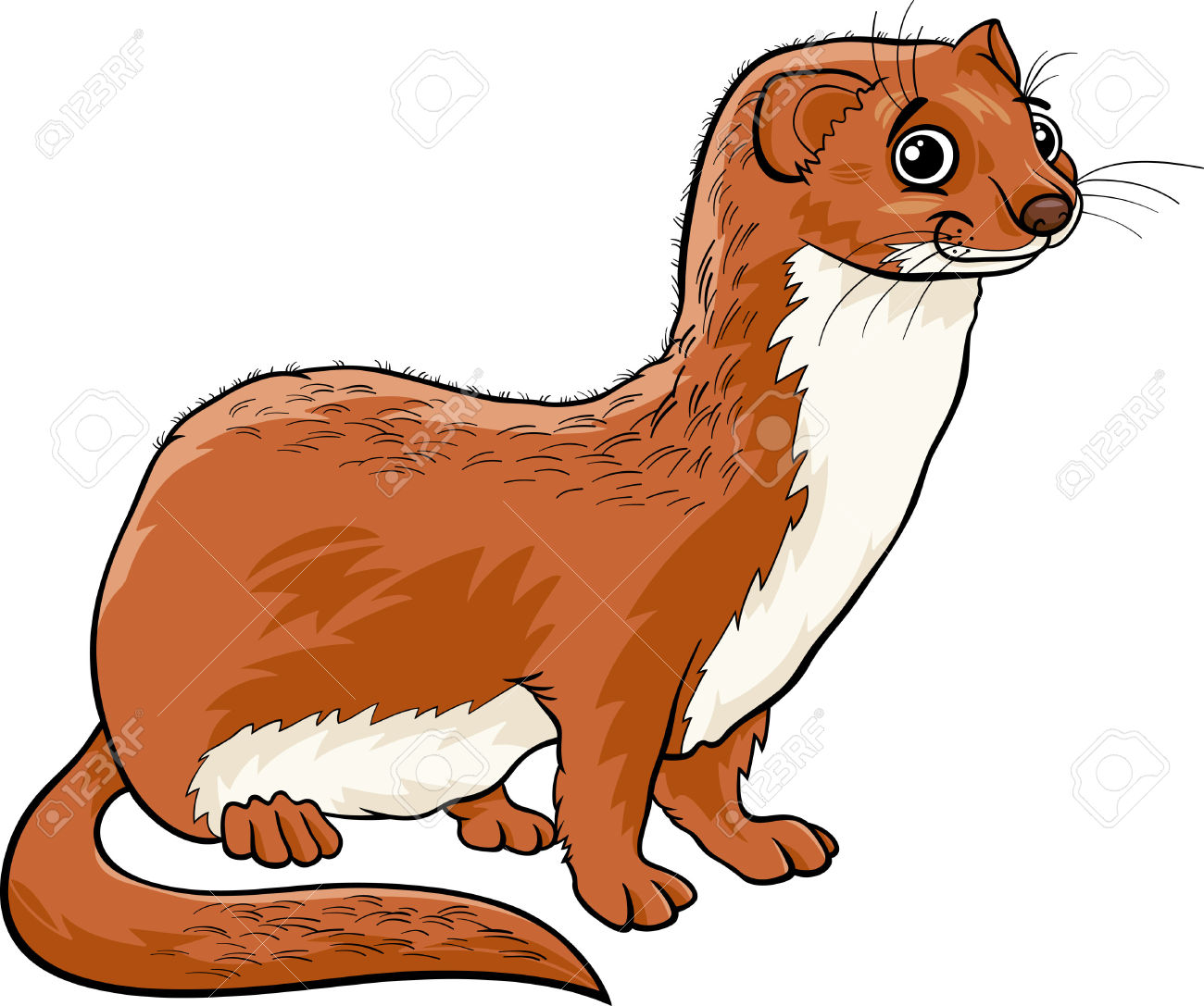 Weasel Clipart | Free download on ClipArtMag