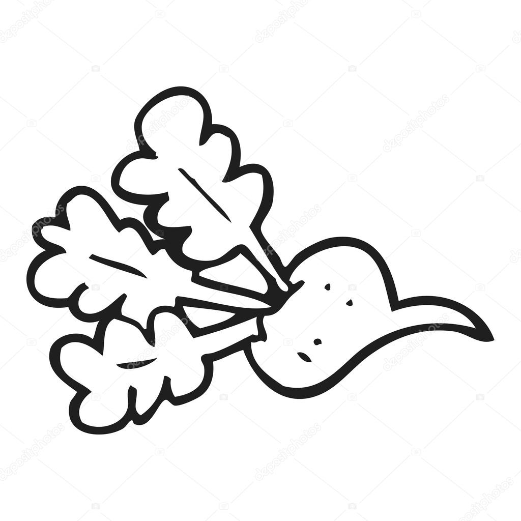 Beet Drawing | Free download on ClipArtMag