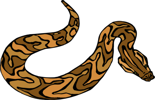 Boa Constrictor Drawing | Free download on ClipArtMag