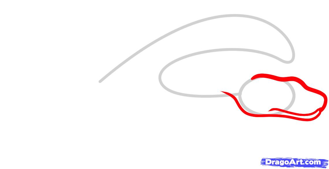 Boa Constrictor Drawing | Free download on ClipArtMag