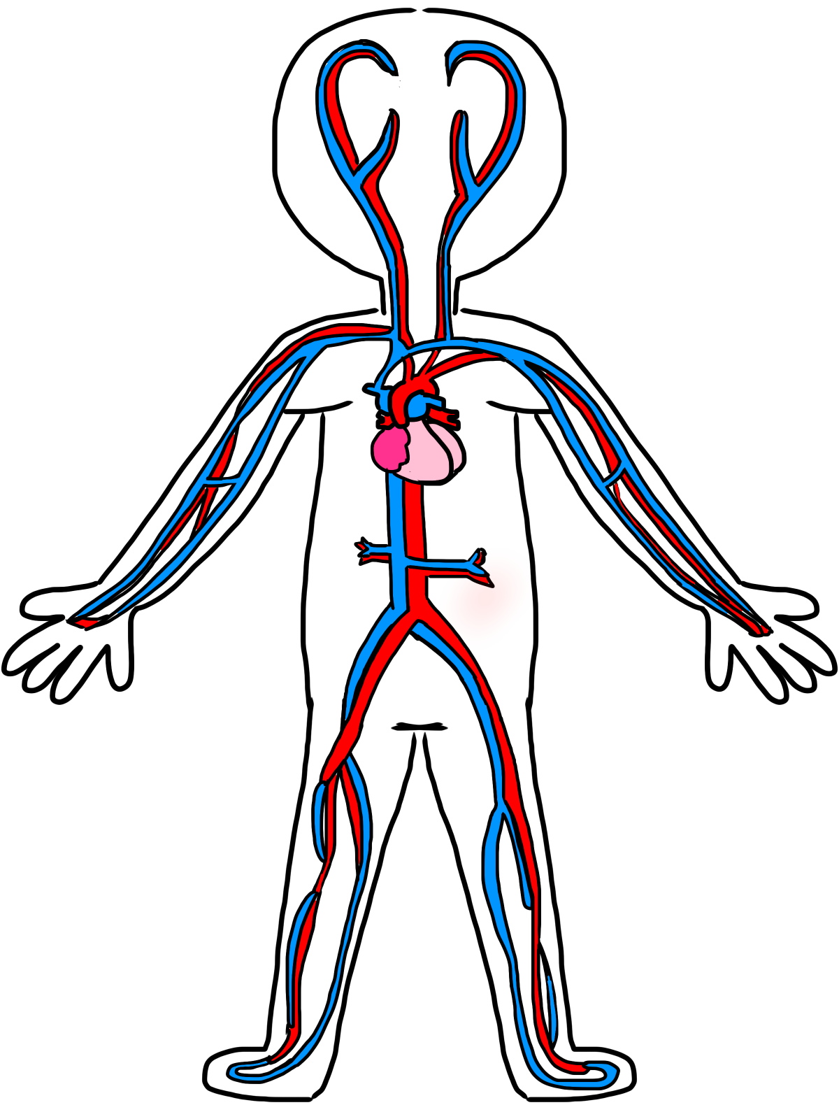 Digestive System Drawing Free Download On ClipArtMag Digestive System Drawing Free Download On ClipArtMag