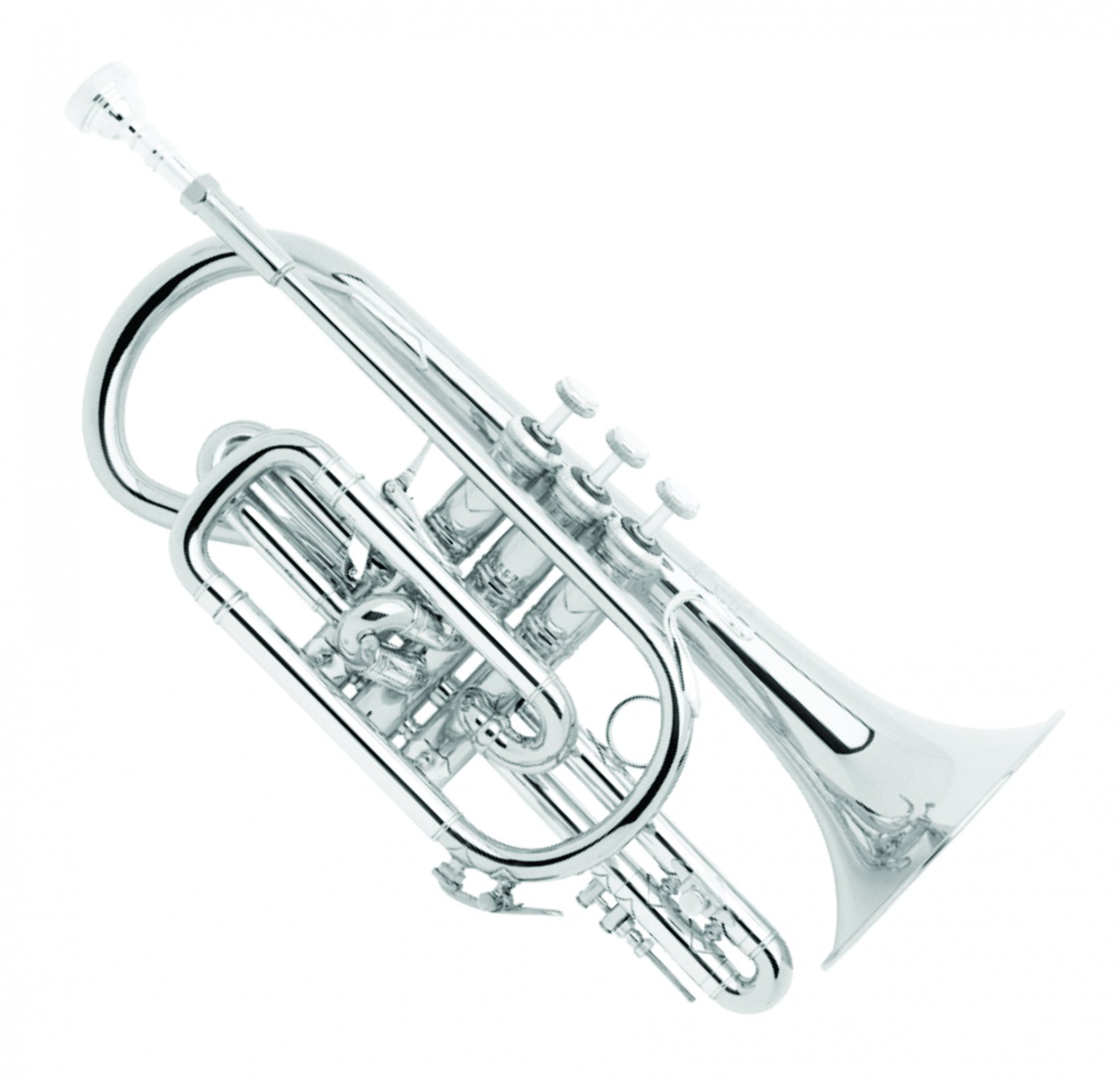 Cornet Drawing | Free download on ClipArtMag