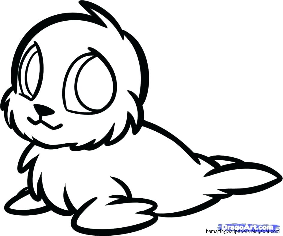 Harp Seal Drawing | Free download on ClipArtMag