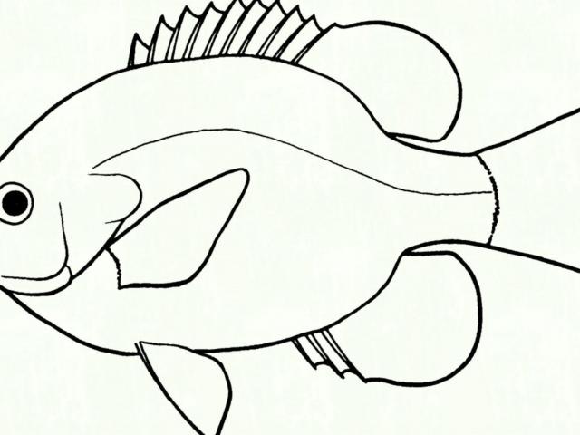 Isda Drawing | Free download on ClipArtMag