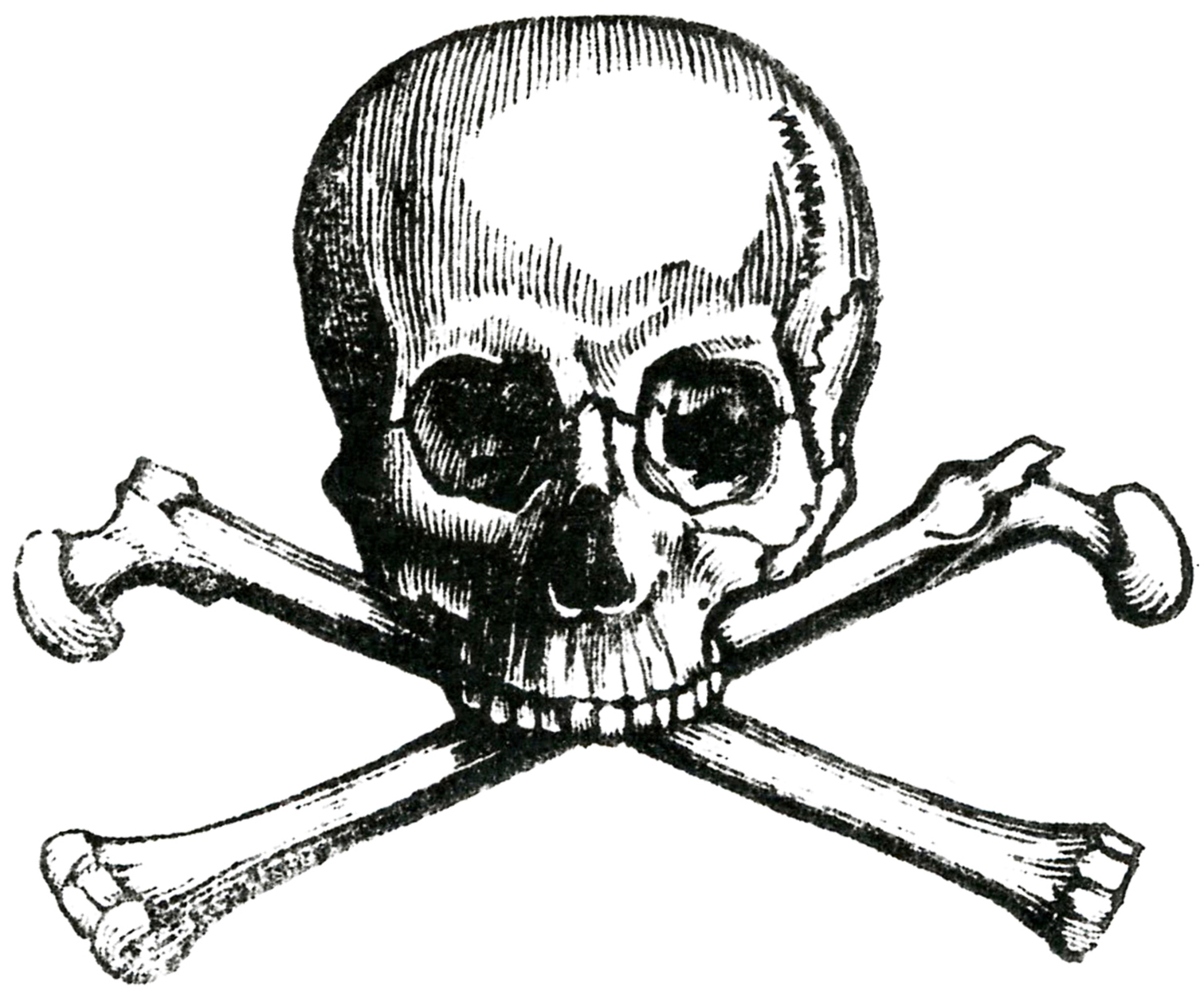 Cool Skull Drawings Free Download On ClipArtMag