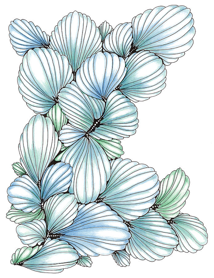 Plume Drawing | Free download on ClipArtMag