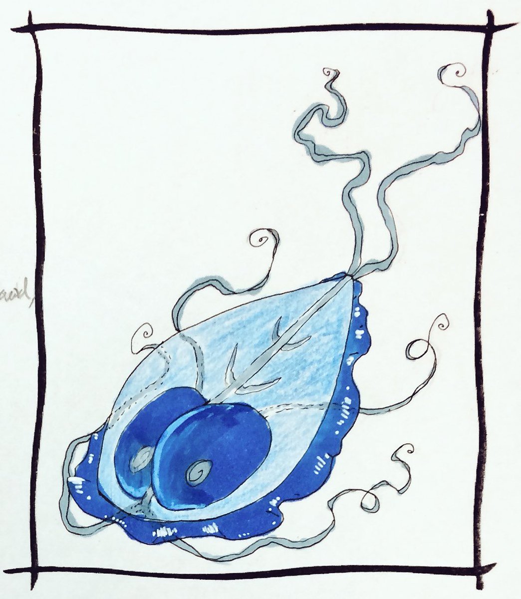 Protist Drawing | Free download on ClipArtMag