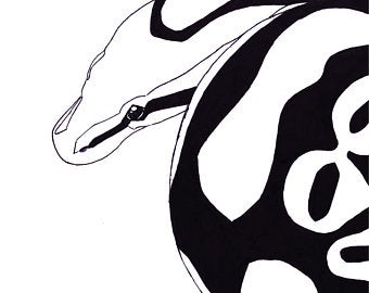 Python Drawing | Free download on ClipArtMag