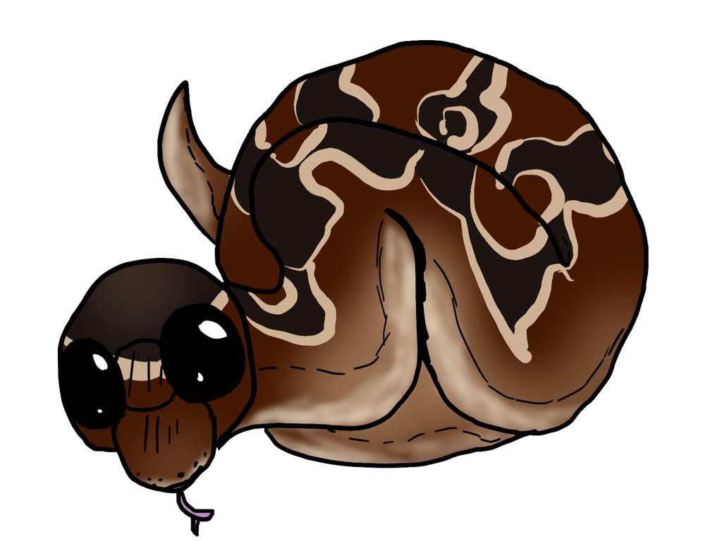 Python Drawing | Free download on ClipArtMag