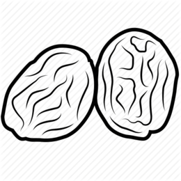 Raisin Drawing | Free download on ClipArtMag