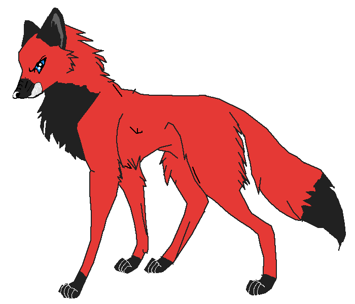Red Wolf Drawing | Free download on ClipArtMag