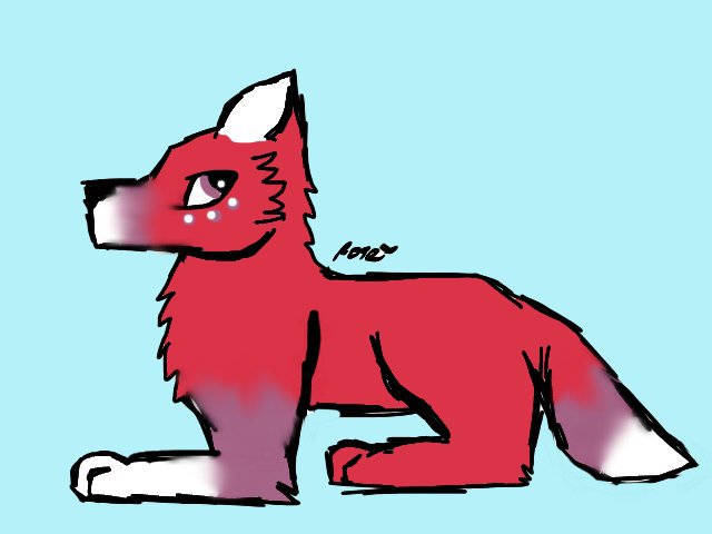 Red Wolf Drawing | Free download on ClipArtMag