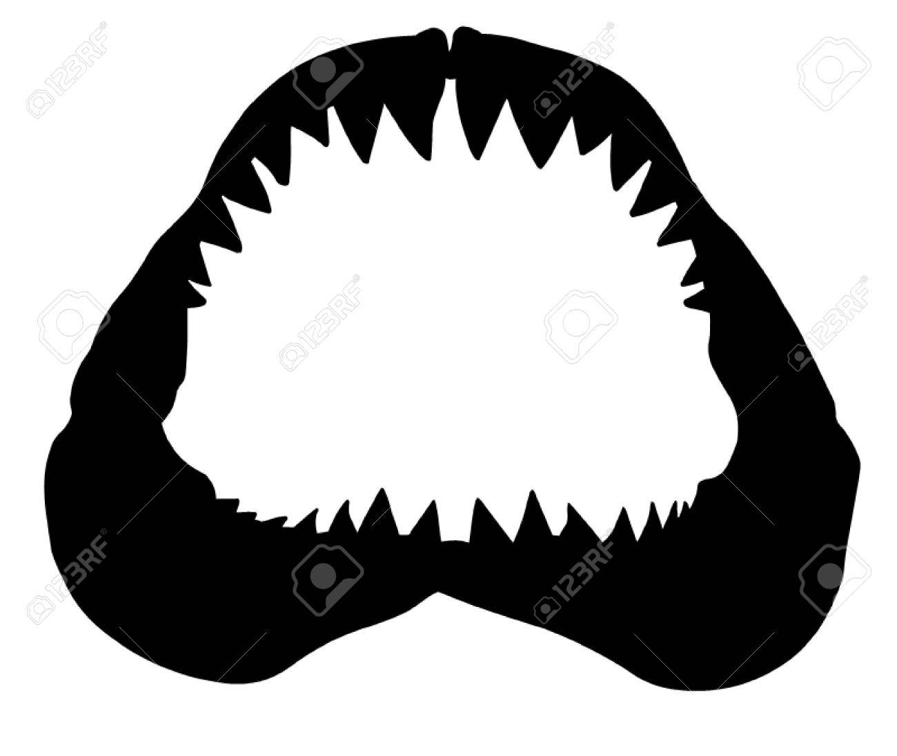 Shark Jaw Drawing | Free download on ClipArtMag