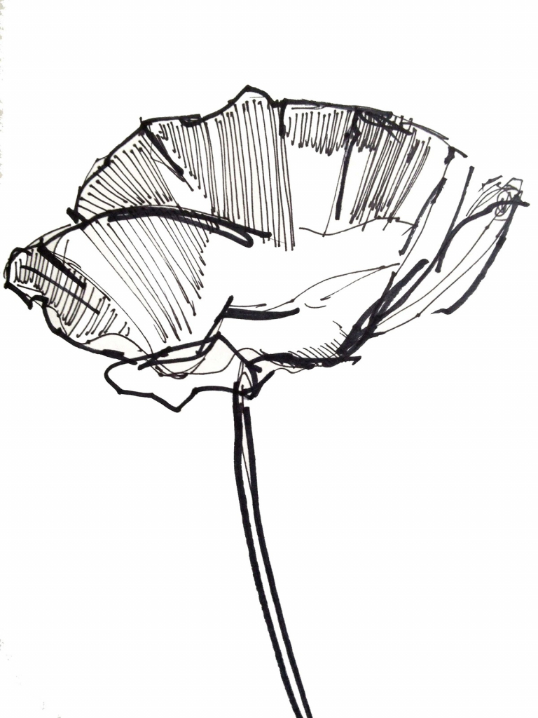 Single Flower Drawing | Free download on ClipArtMag