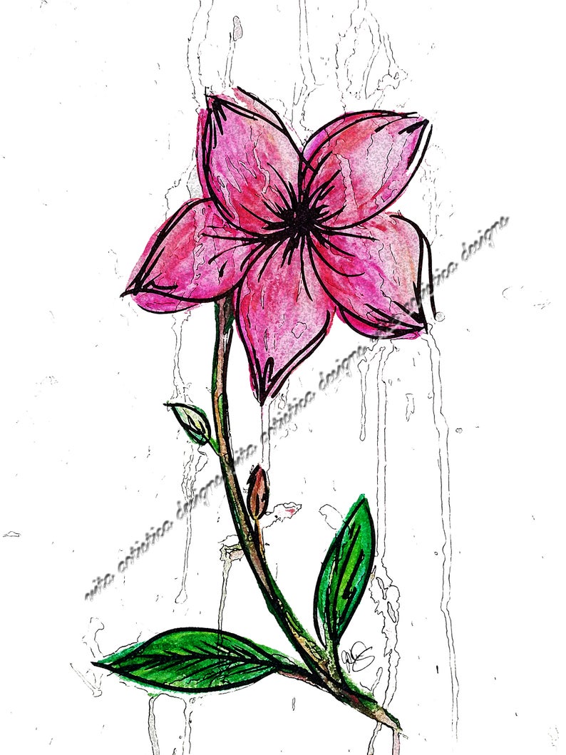 Single Flower Drawing | Free download on ClipArtMag