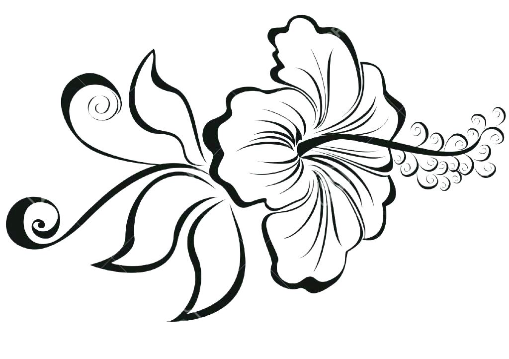 Summer Flowers Drawing | Free download on ClipArtMag