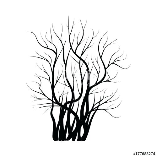 Tree Trunk Drawing | Free download on ClipArtMag