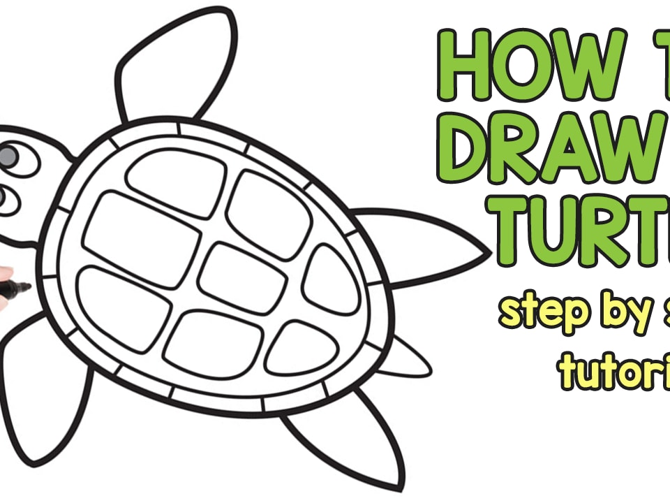 Turtle Drawing Easy | Free download on ClipArtMag