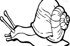 1st Grade Coloring Pages | Free download on ClipArtMag