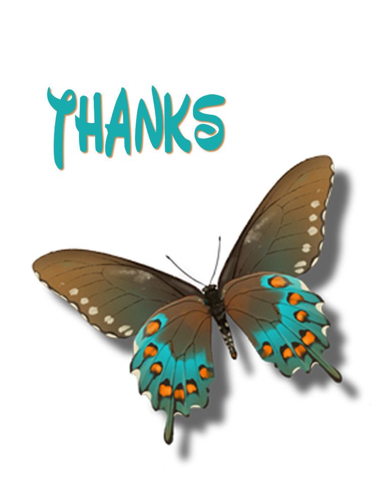 Butterfly Clipart Free | Free download on ClipArtMag