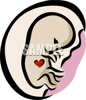 Embryo Clipart | Free download on ClipArtMag