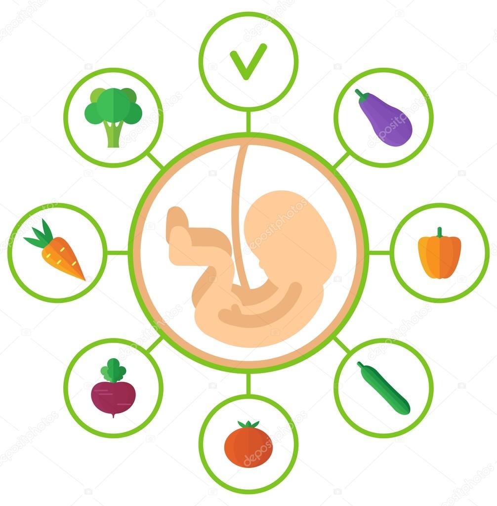 Embryo Clipart | Free download on ClipArtMag