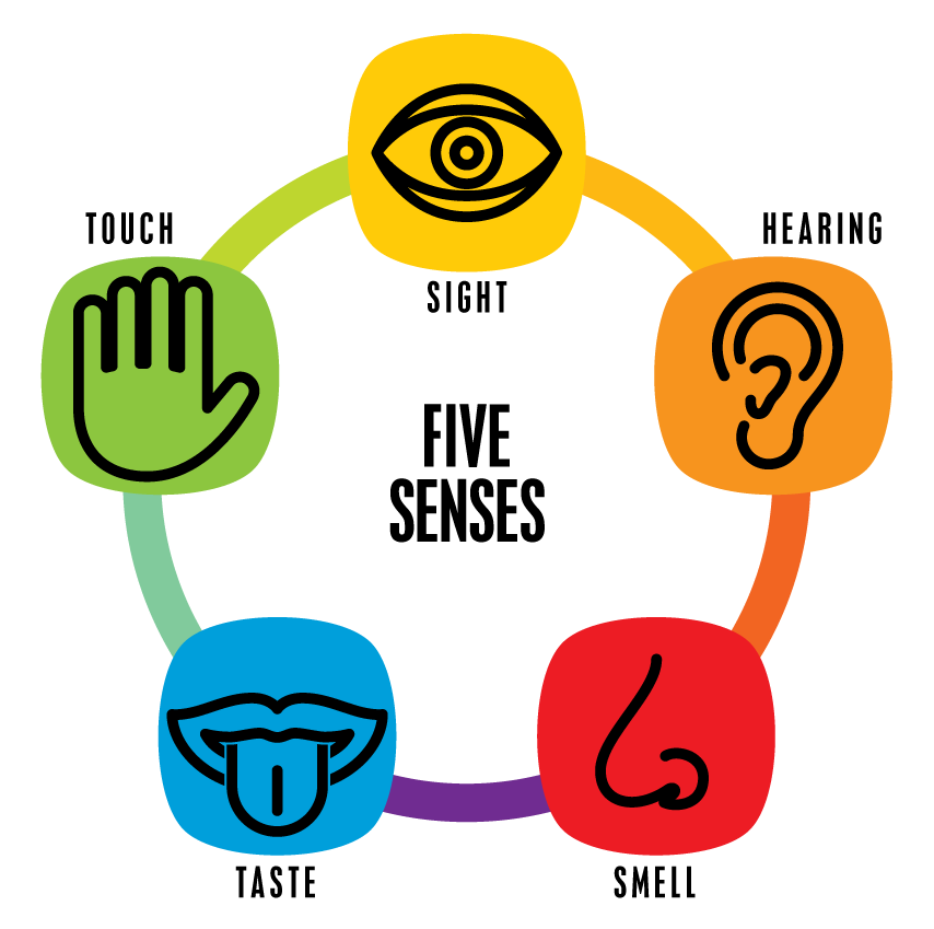 Five Senses Clipart Free Download On ClipArtMag Five Senses Clipart Free Download On ClipArtMag
