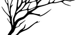 Tree Drawing Outline | Free download on ClipArtMag